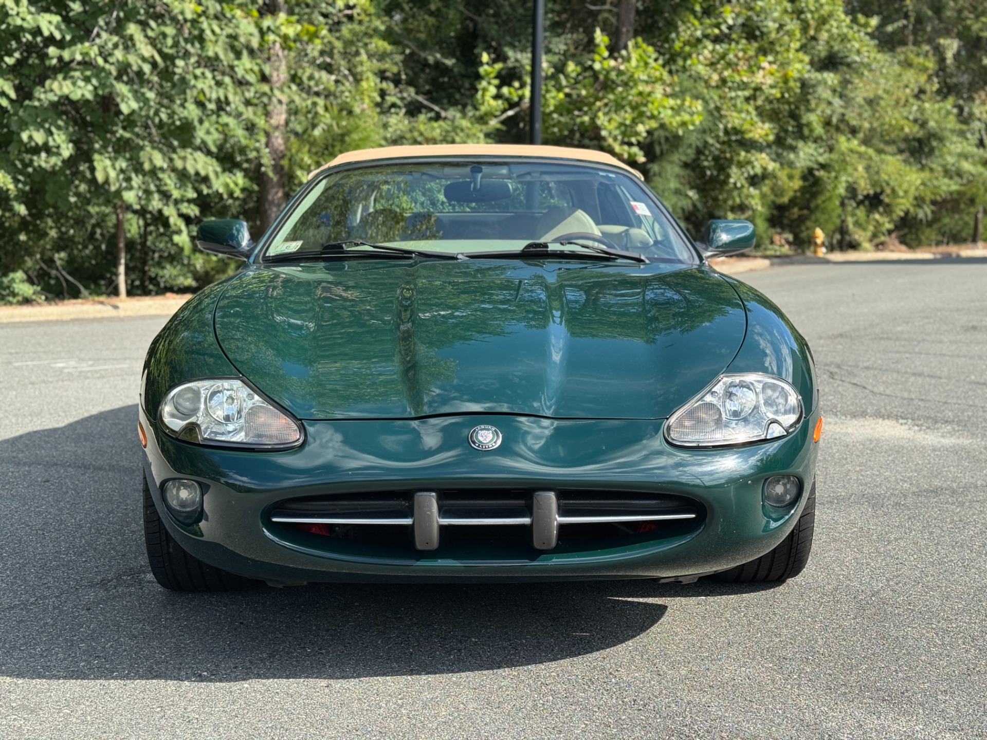Used 1999 Jaguar XK8 4.0L V8 / BRITISH RACING GREEN For Sale ($11,499 ...